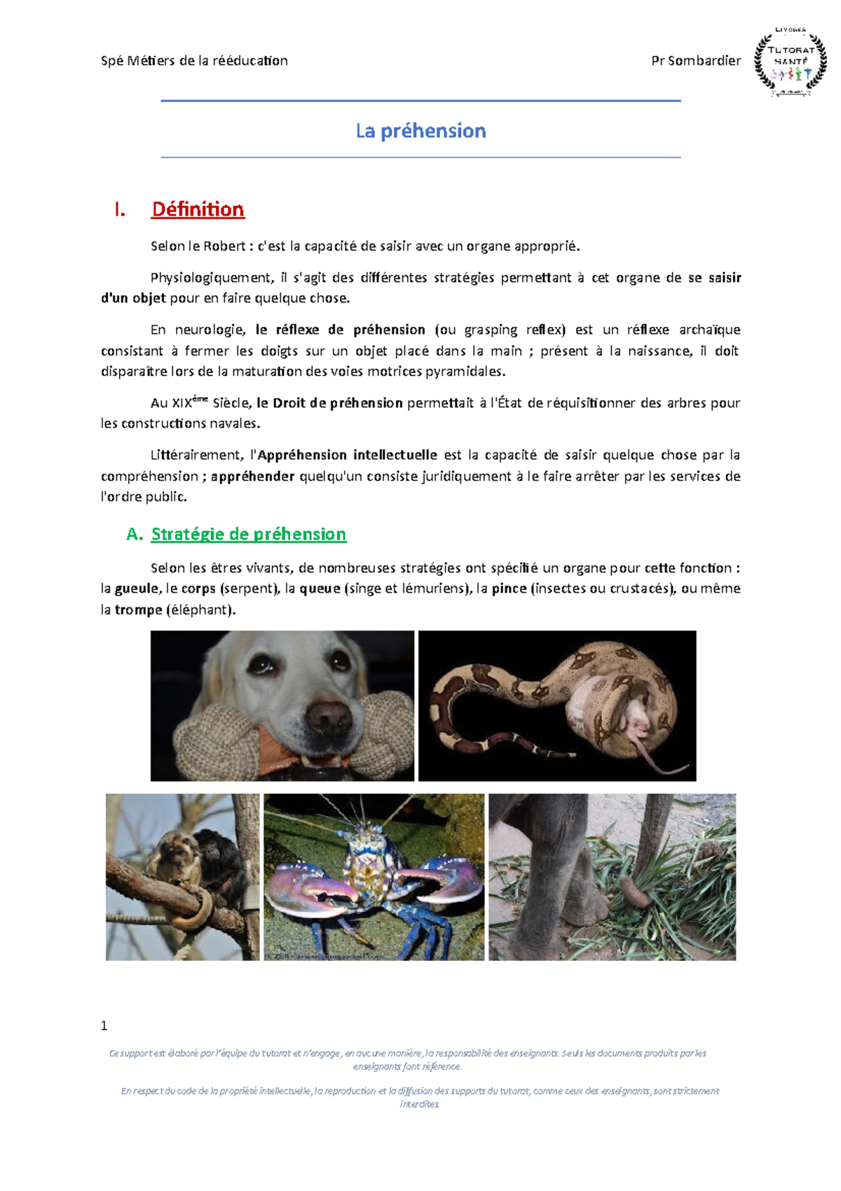 Préhension - La préhension I. Définition Selon le Robert : c'est la ...