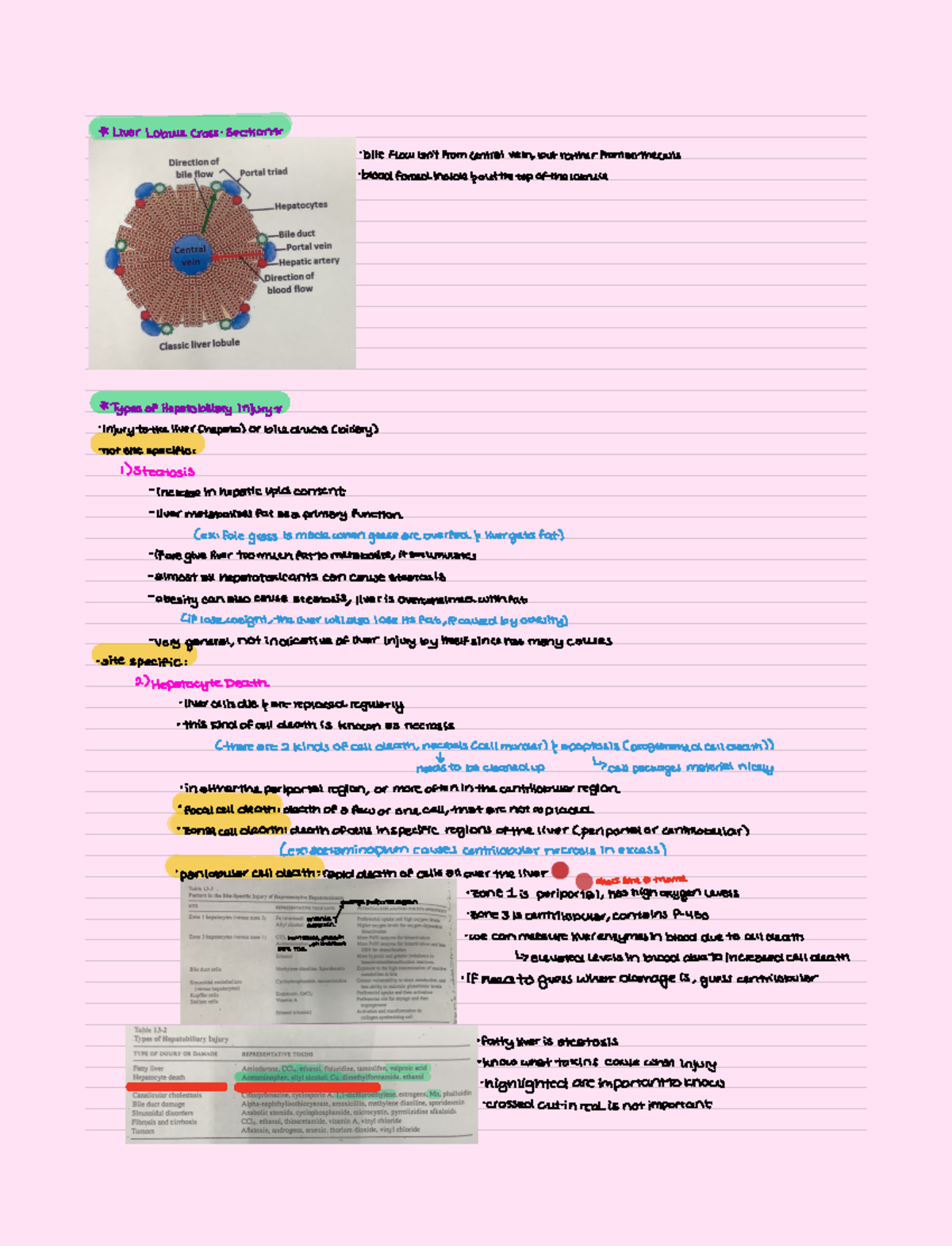 Toxicology 05-05 lecture notes - EOH 456 - Studocu