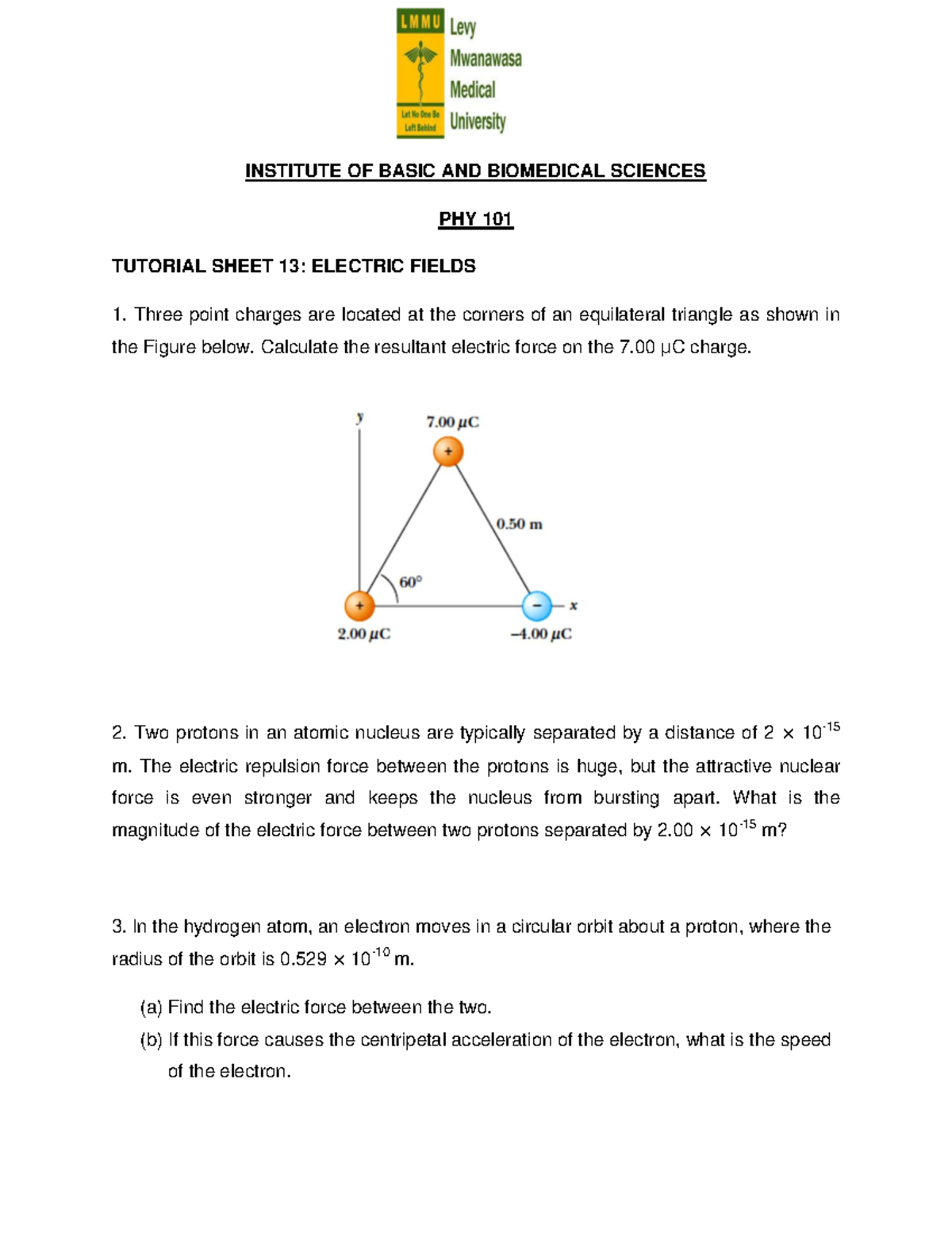 Tutorial Sheet 13 - Electric fields - Warning: TT: undefined function ...