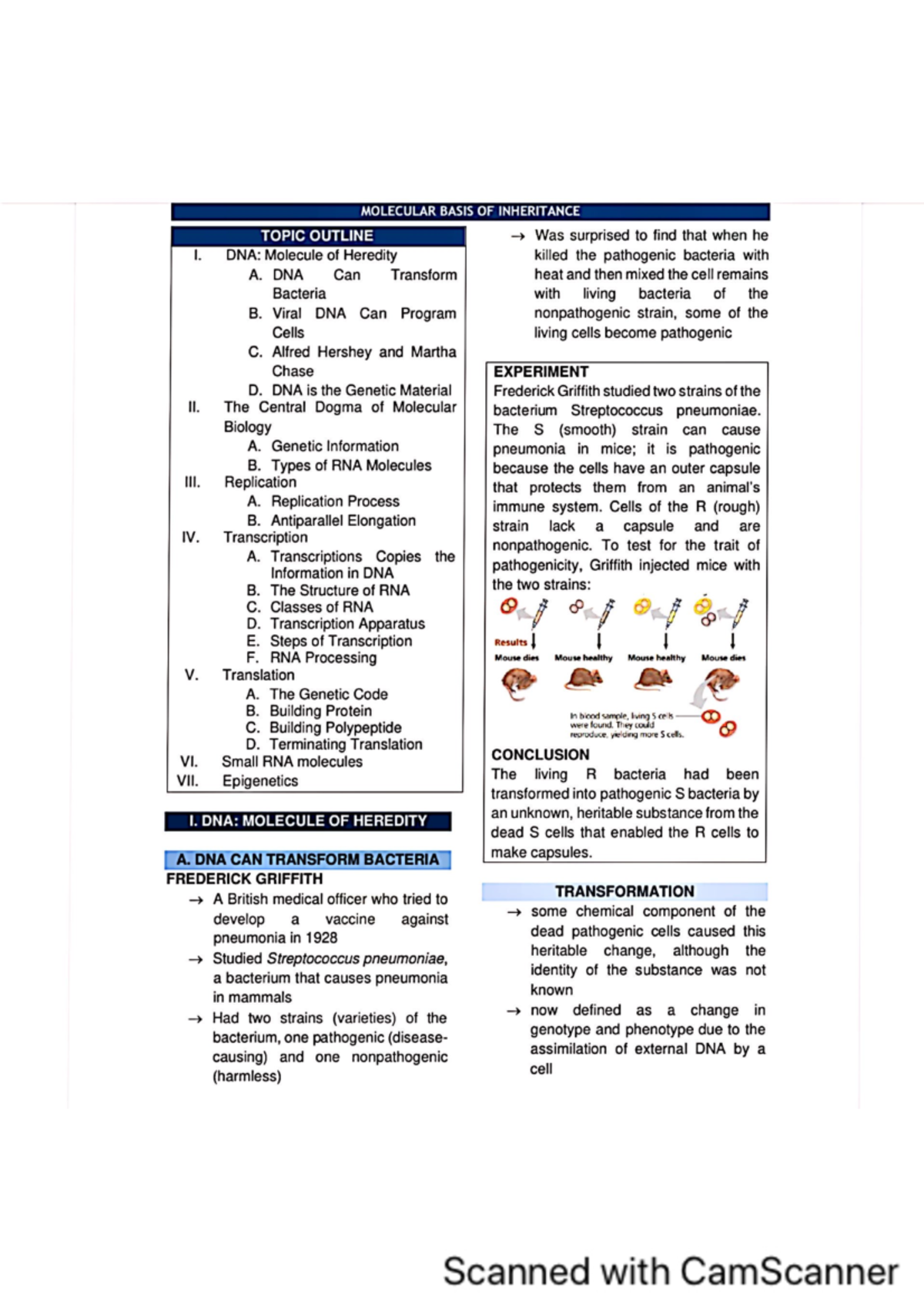 Cytogen UNIT6 - Medical Technology - Studocu