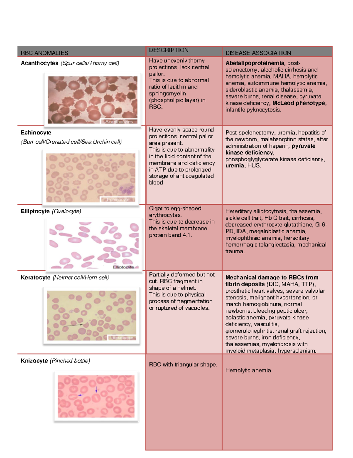 RBC-WBC- Anomalies - RBC ANOMALIES DESCRIPTION DISEASE ASSOCIATION ...
