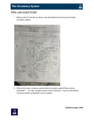 AP 5069 L16 Digestive System AP LAB - PRE-LAB QUESTIONS Explain the ...