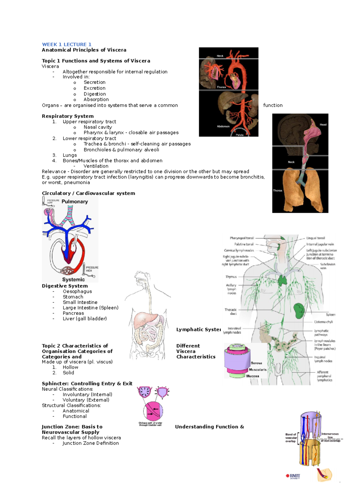 WEEK 1 Lecture 1 - notes - WEEK 1 LECTURE 1 Anatomical Principles of ...