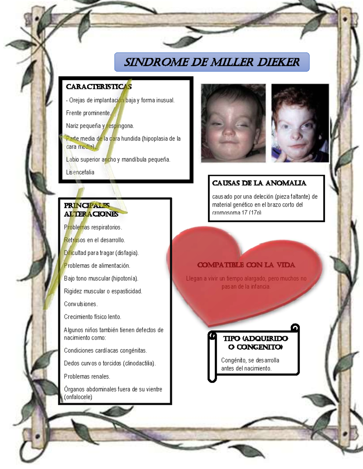 Sindrome de miller dieker - COMPATIBLE CON LA VIDA Llegan a vivir un ...