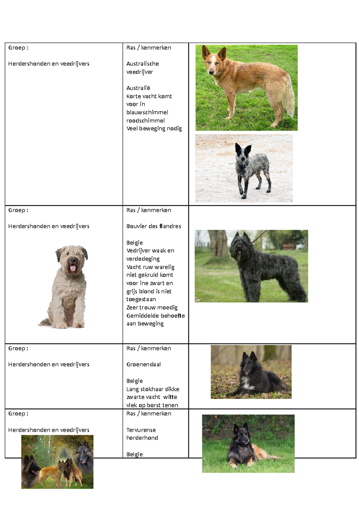 Rassenleer - Herdershonden en veedrijvers Australische veedrijver ...