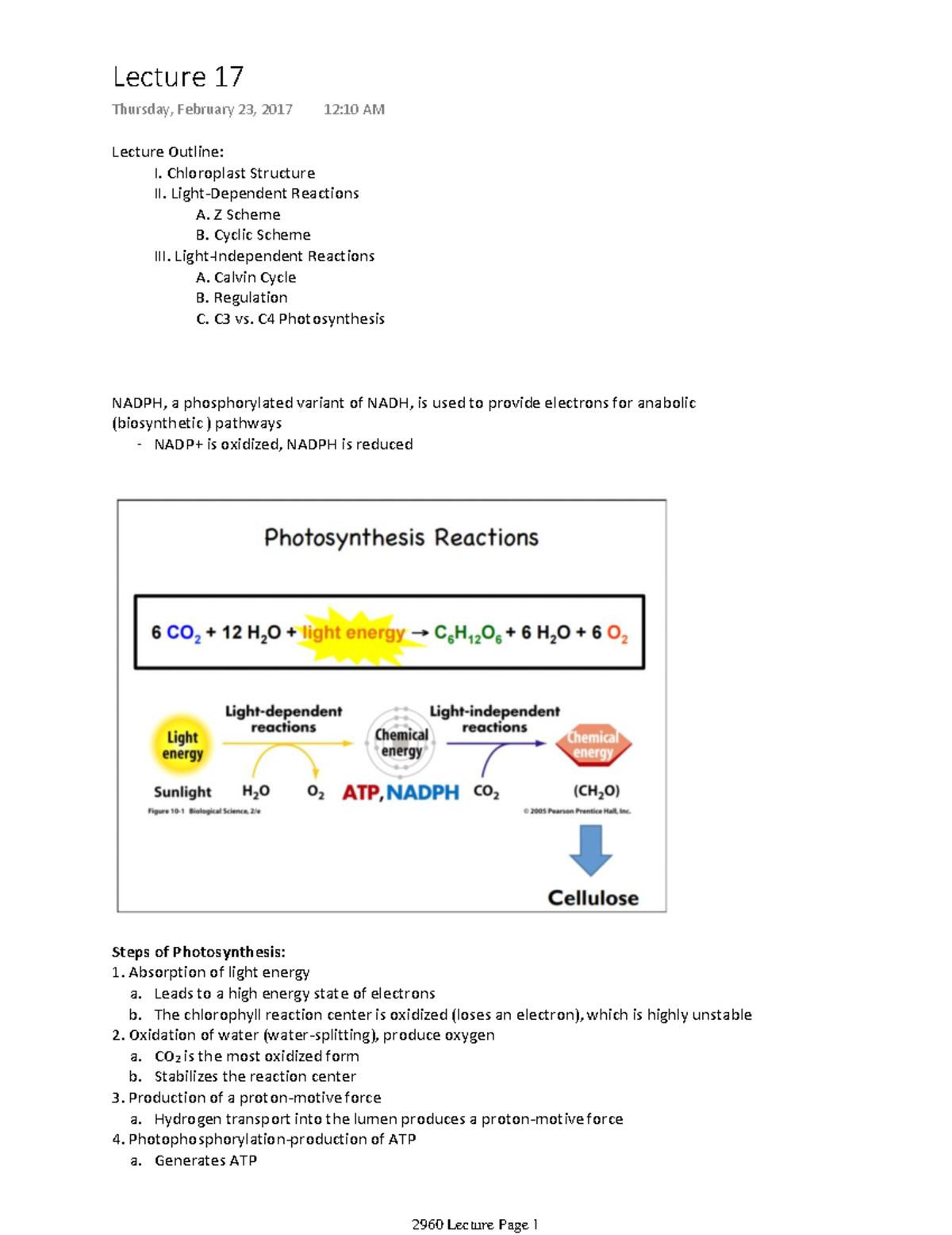 Lecture 17 - Photosynthesis - Lecture 17 Thursday, February 23, 2017 12 ...