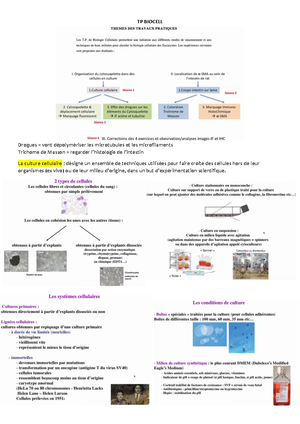 Cycle cellulaire - CYCLE CELLULAIRE Introduction : Ce qui doit être ...