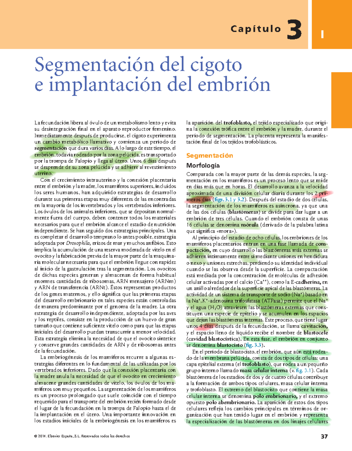 Embrio-carlson cap 3 - Capítulo de embriología y biología del desarrollo - Carlson - © 2014 ...