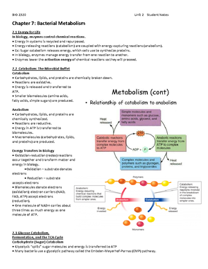 Lab 7 Integumentary System Lab Activity - Name: Madeline Solliday ...