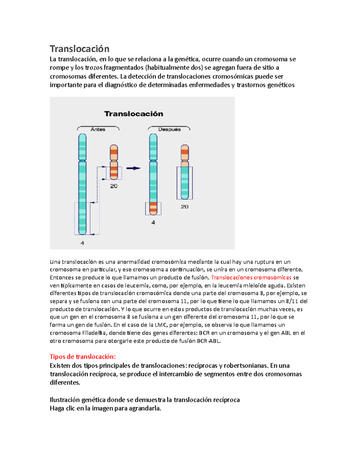 Translocación2 - apuntes - Translocación La translocación, en lo que se ...