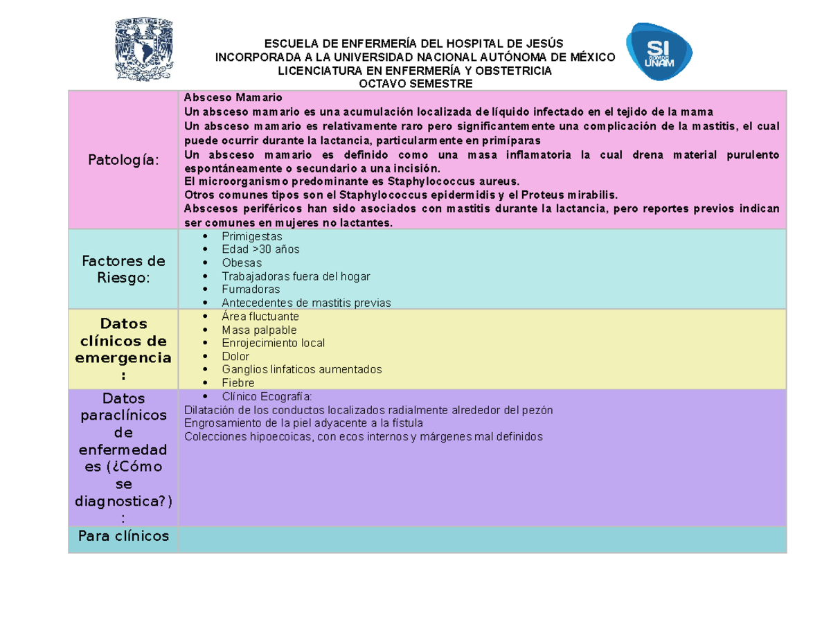 Absceso Mamario - ESCUELA DE ENFERMERÍA DEL HOSPITAL DE JESÚS ...
