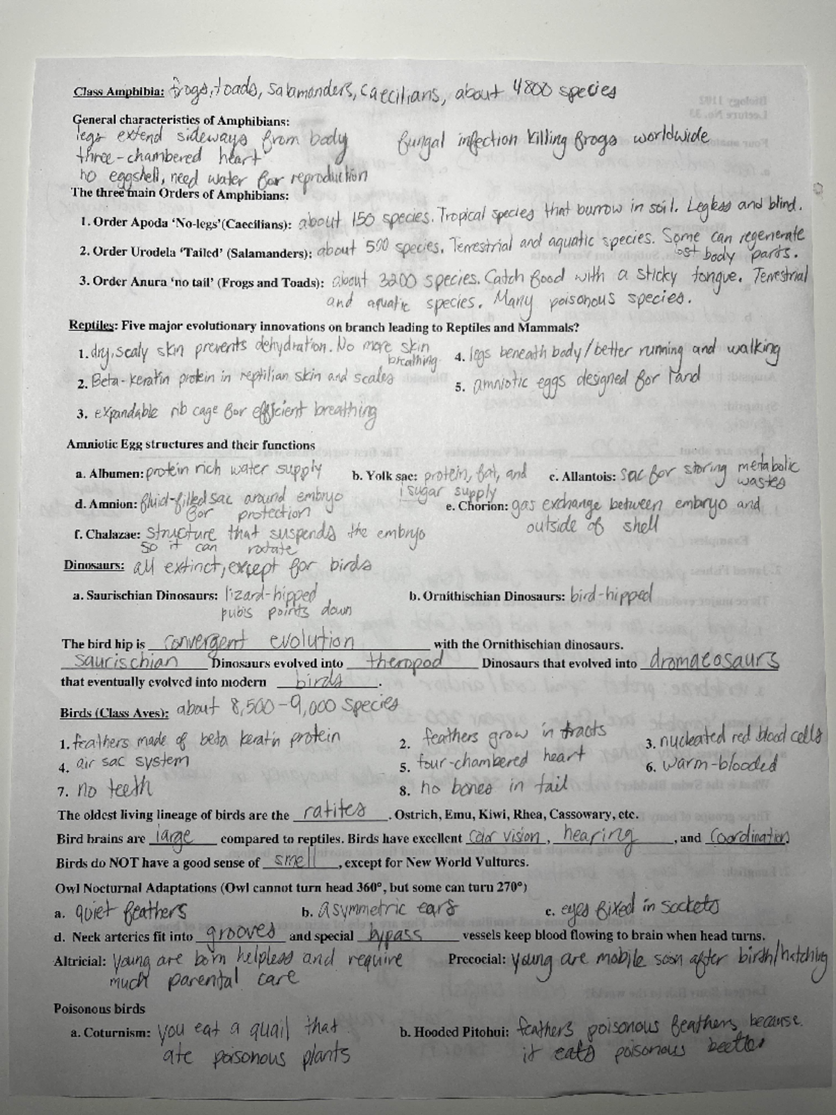 Lecture 33 Notes pg. 2 - Class Amphibia: frogs,toads, salamanders ...