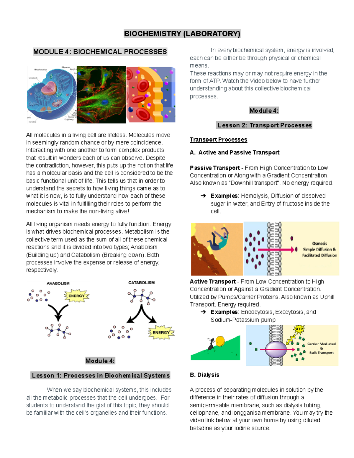 Biochemistry ( Laboratory) 2nd Week - BIOCHEMISTRY (LABORATORY) MODULE 4: BIOCHEMICAL PROCESSES ...