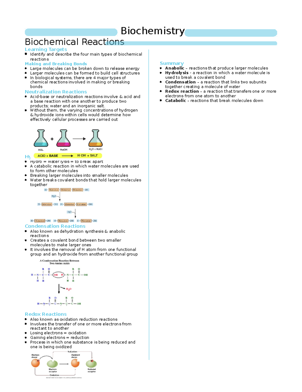 Lesson 5 - Biochemical Reactions - Biochemistry Biochemical Reactions ...