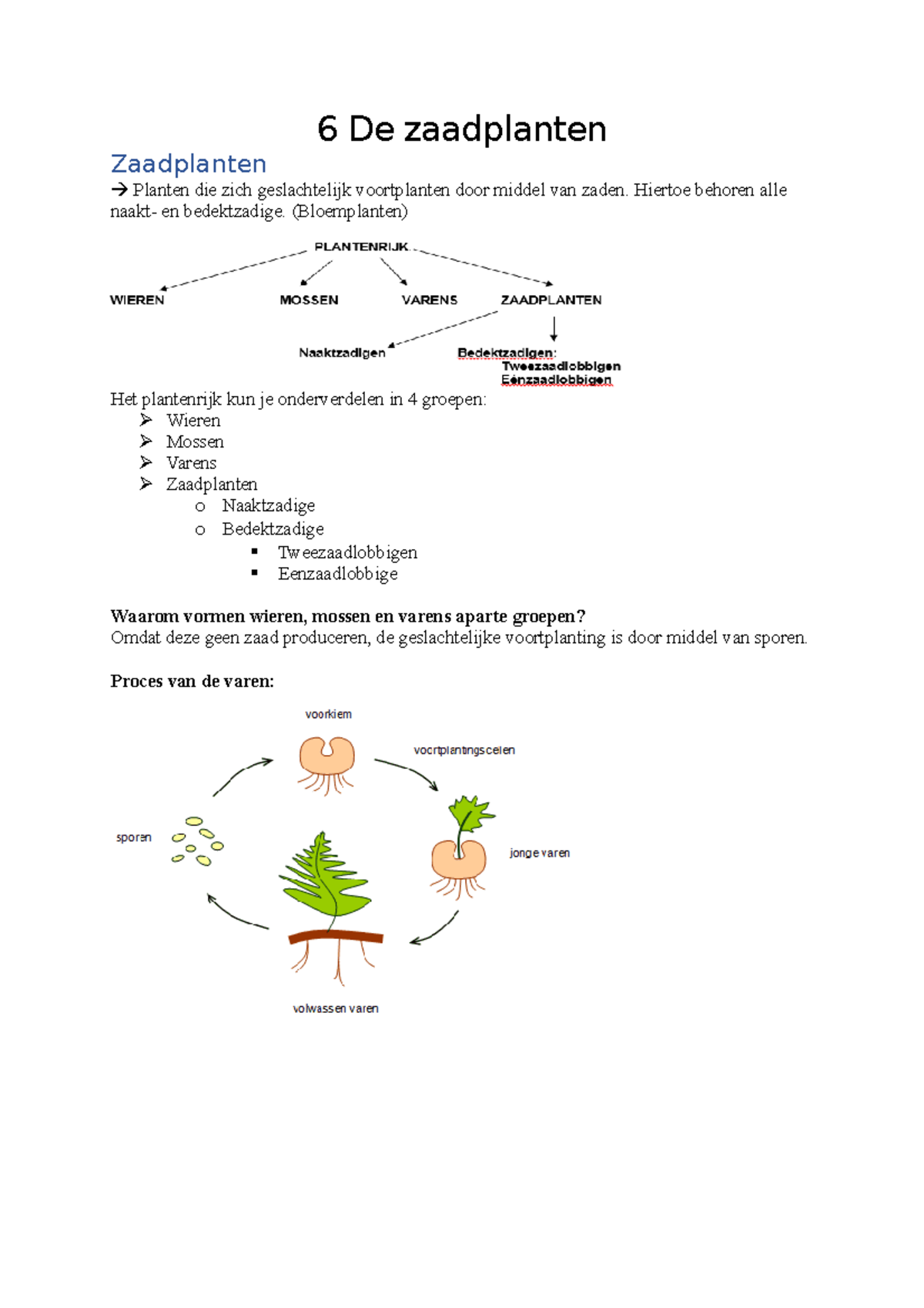 6 De zaadplanten samenvatting - 6 De zaadplanten Zaadplanten Planten ...