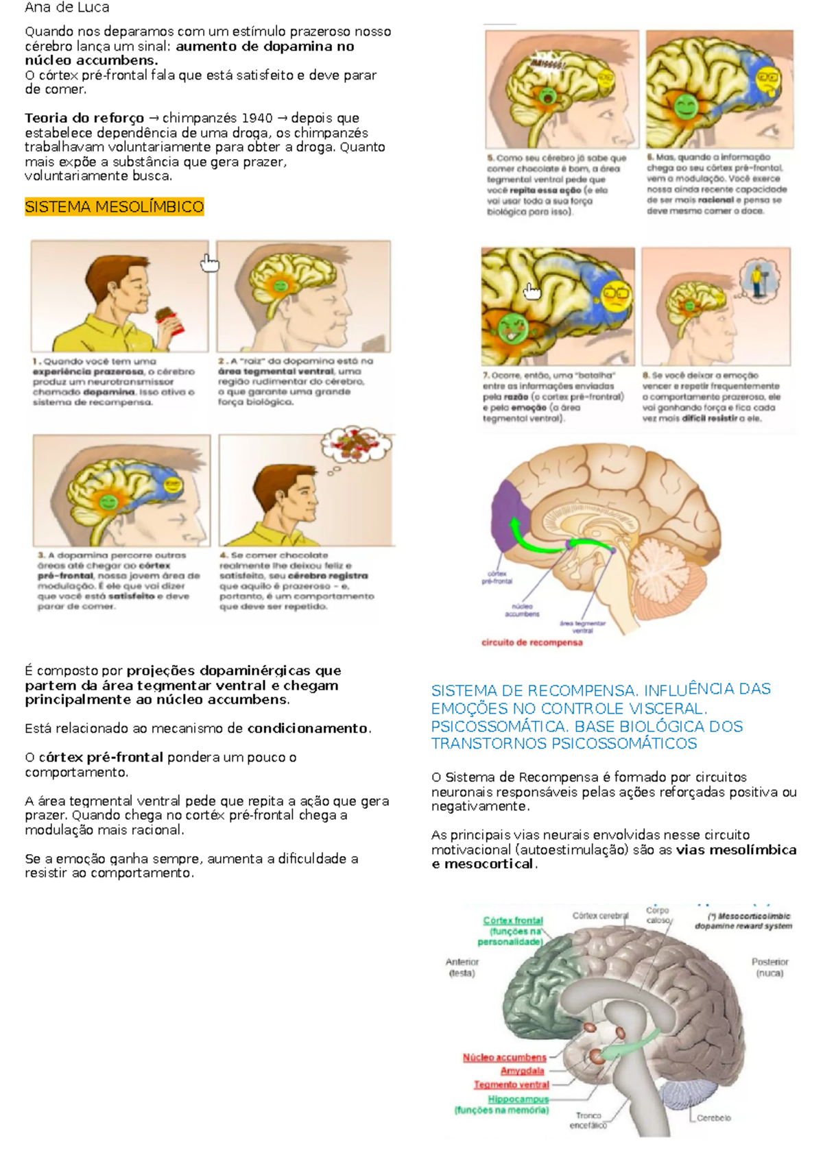 Sistema DE Recompensa - Neurologia - SISTEMA DE RECOMPENSA. INFLUÊNCIA ...