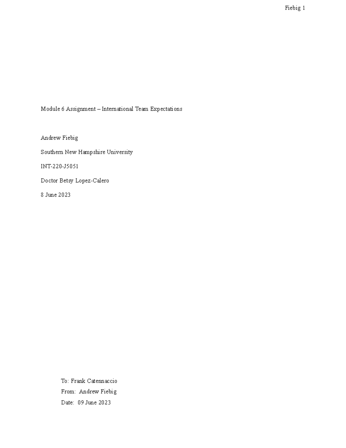 INT 220 Module 6 International Team - Module 6 Assignment ...