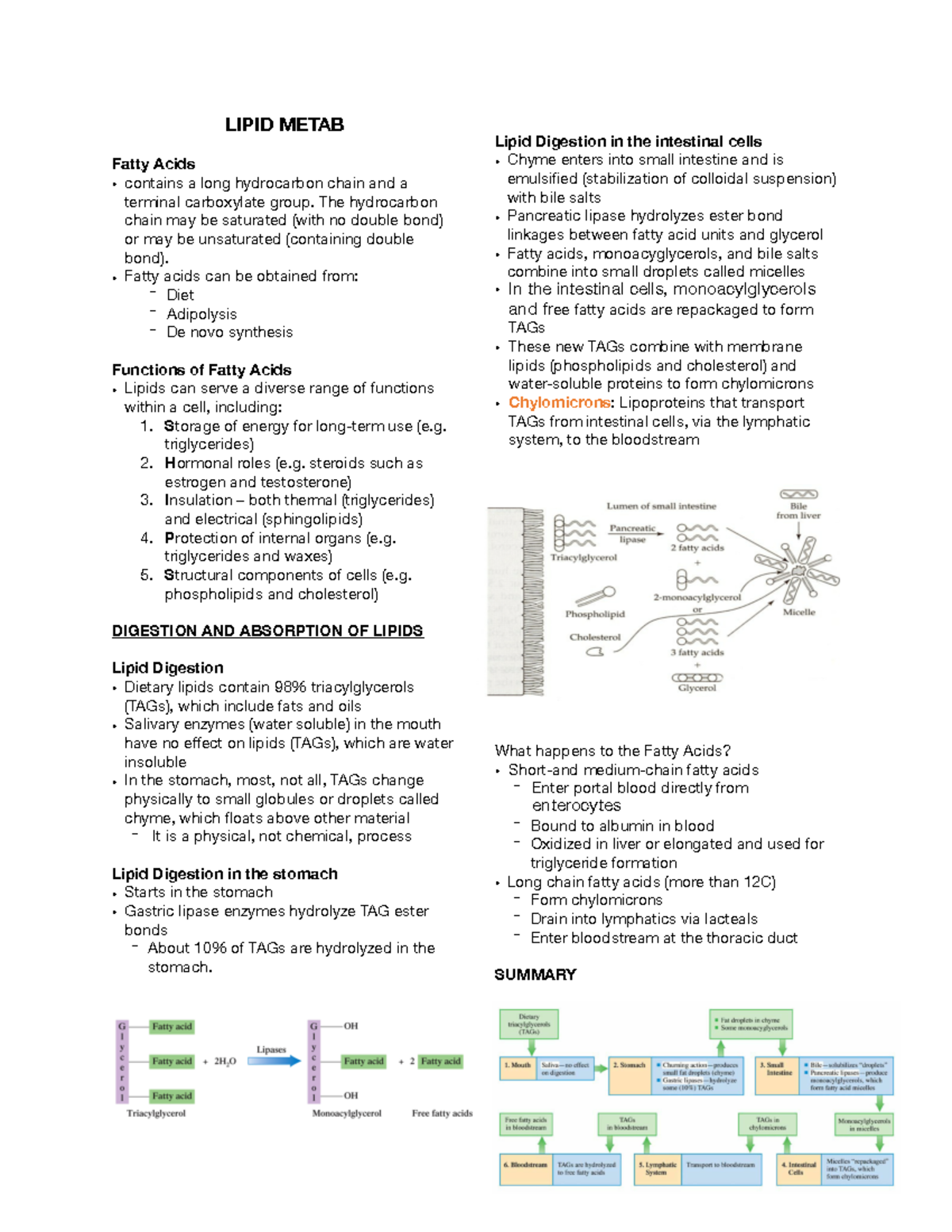 4 Lipid Metab - LIPID METAB Fatty Acids contains a long hydrocarbon ...