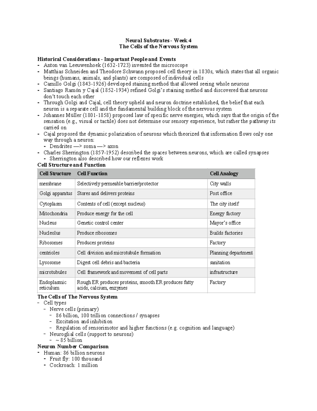 Neural Substrates - Week 4 Notes - Neural Substrates - Week 4 The Cells ...