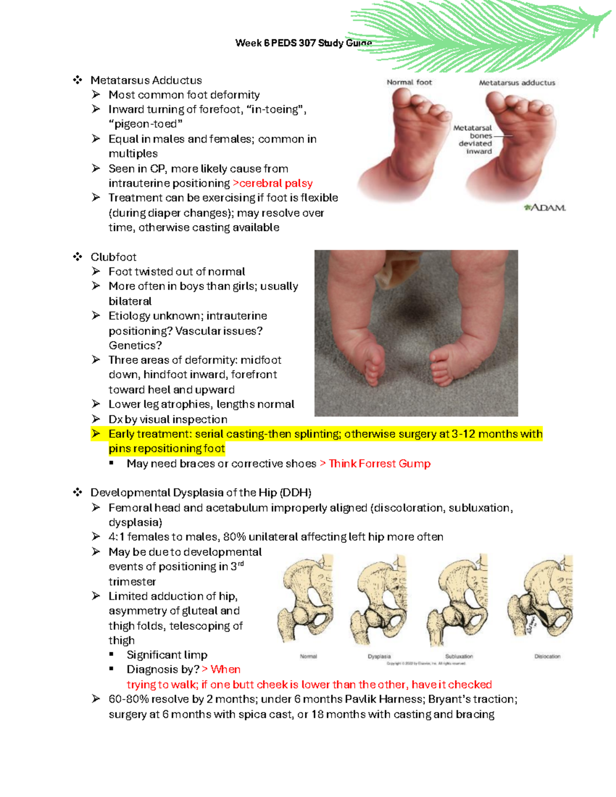 PEDS Week 7 Study Guide - Metatarsus Adductus Most common foot ...