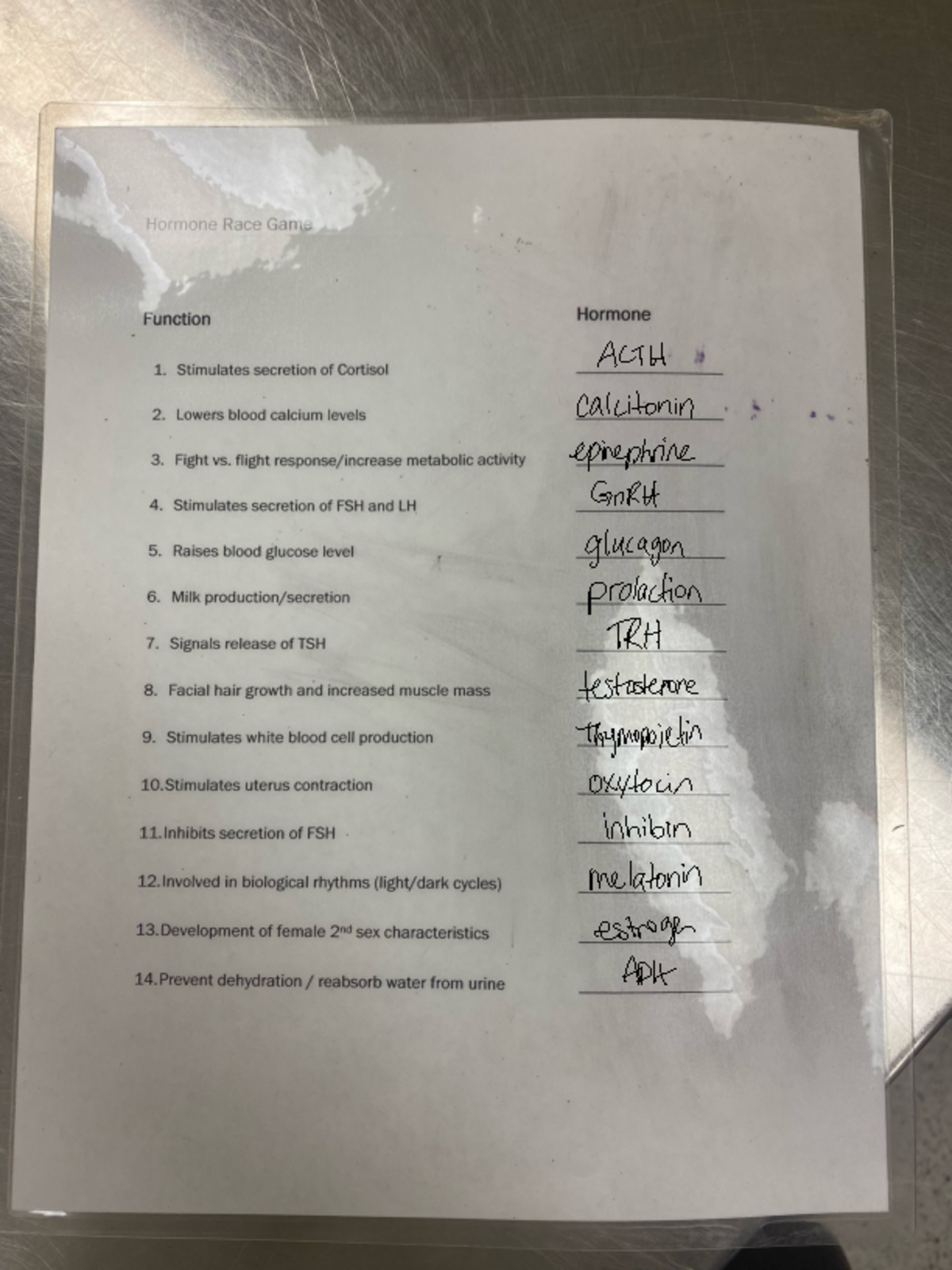 Endocrine Practice - Anatomy and Physiology 2 Laboratory with Jennifer ...