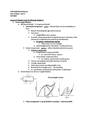 Biomechanics Unit 3 part 1 of 2 Notes - KINS 4200 Biomechanics Unit 3 ...