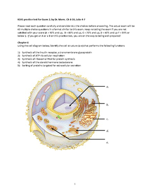 K101 Practice Exam 1 - K101 practice test for Exam 1, Chapters 1-5 ...