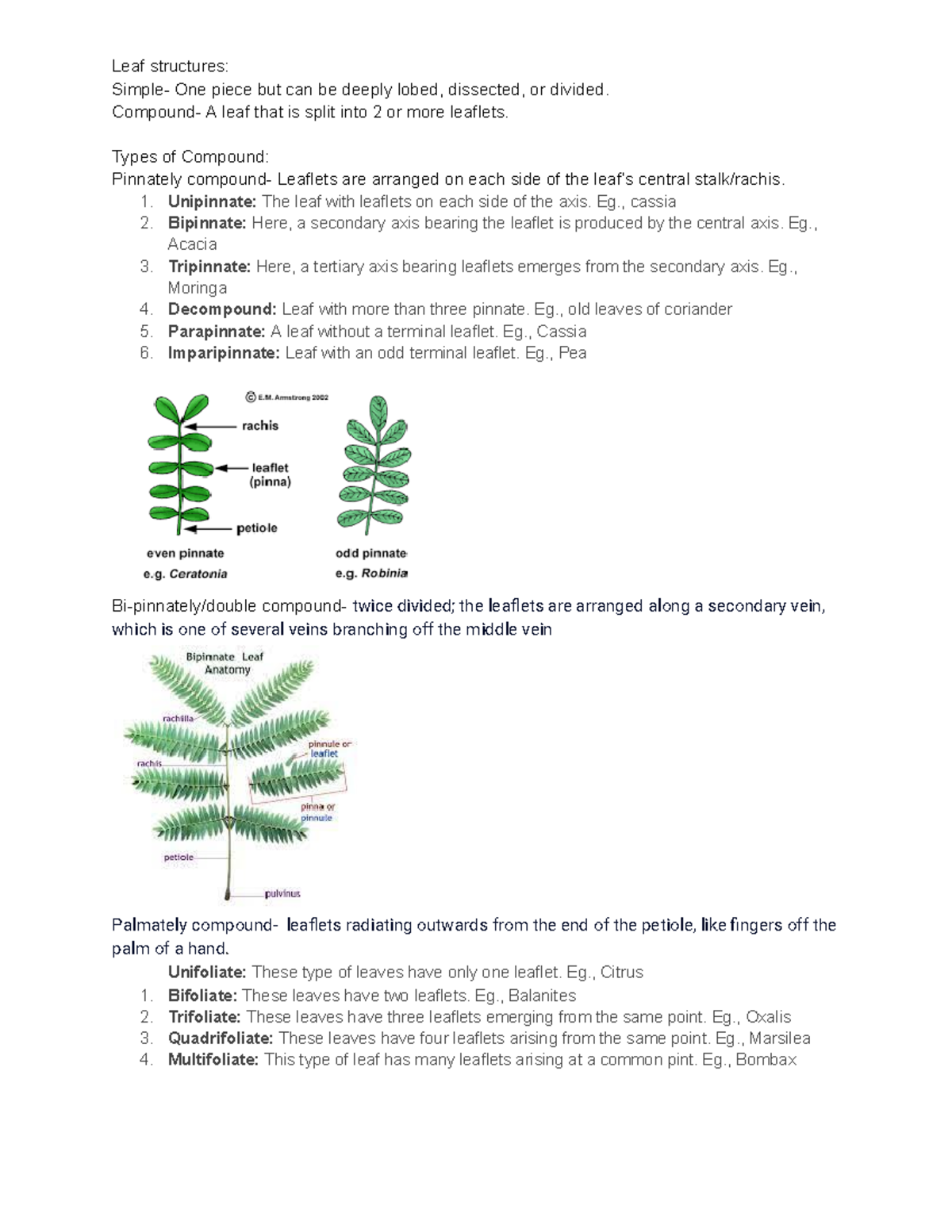 SCIOLY Forestry Cheat Sheet - Leaf structures: Simple- One piece but ...