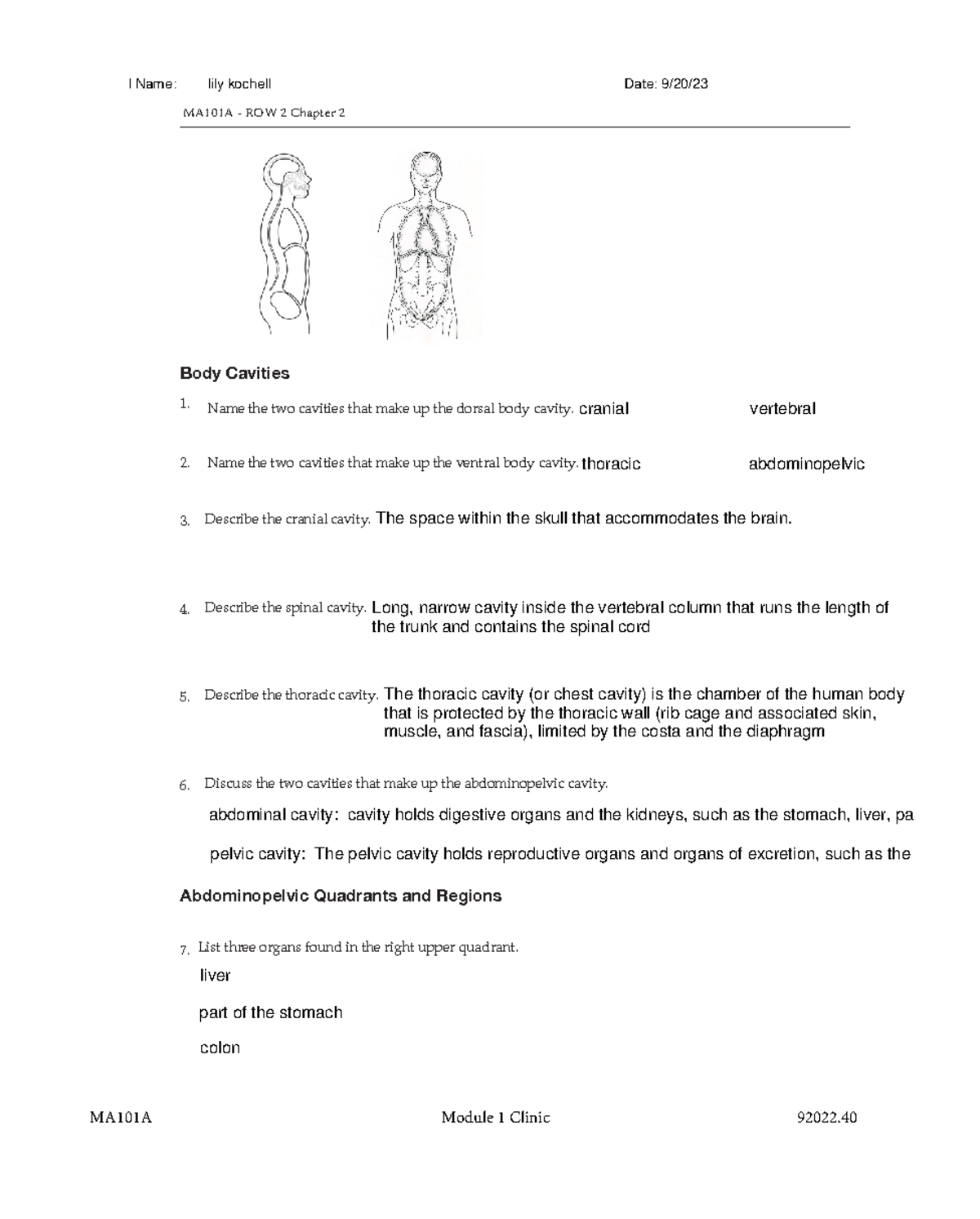 MA101 A ROW 2 Chapter 2 - HJYU - MA101A - ROW 2 Chapter 2 Body Cavities ...