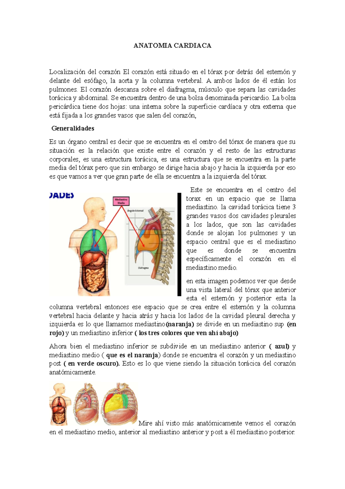 Anatomia Cardiaca - Detalles a fondo - ANATOMIA CARDIACA Localización ...