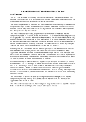 Exemplar Case Theory and Trial Note-2 - R v. YOUNG – CASE THEORY AND ...