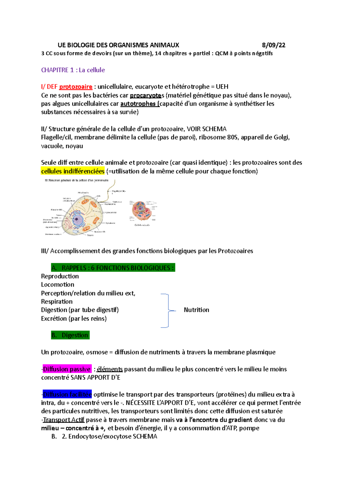 CHAP1 cellule BOA - Semestre 1 - UE BIOLOGIE DES ORGANISMES ANIMAUX 8 ...