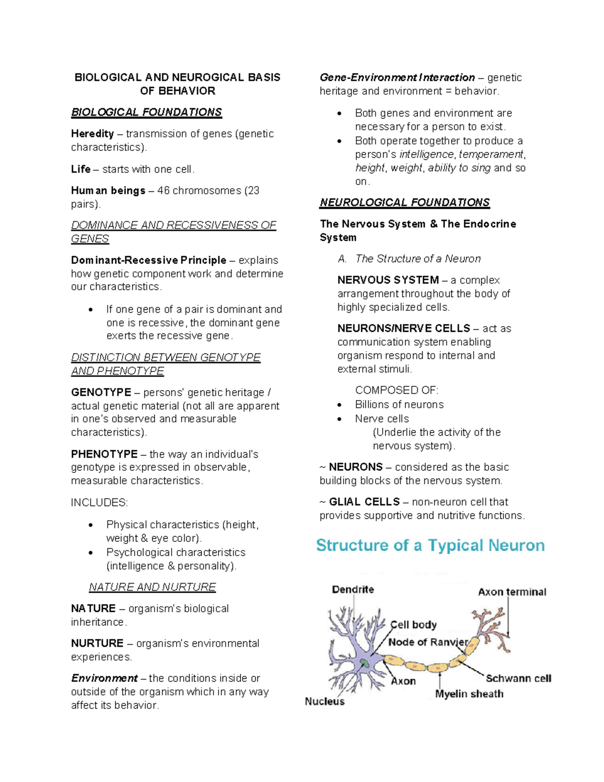 Biological AND Neurogical Basis OF Behavior - BIOLOGICAL AND NEUROGICAL ...