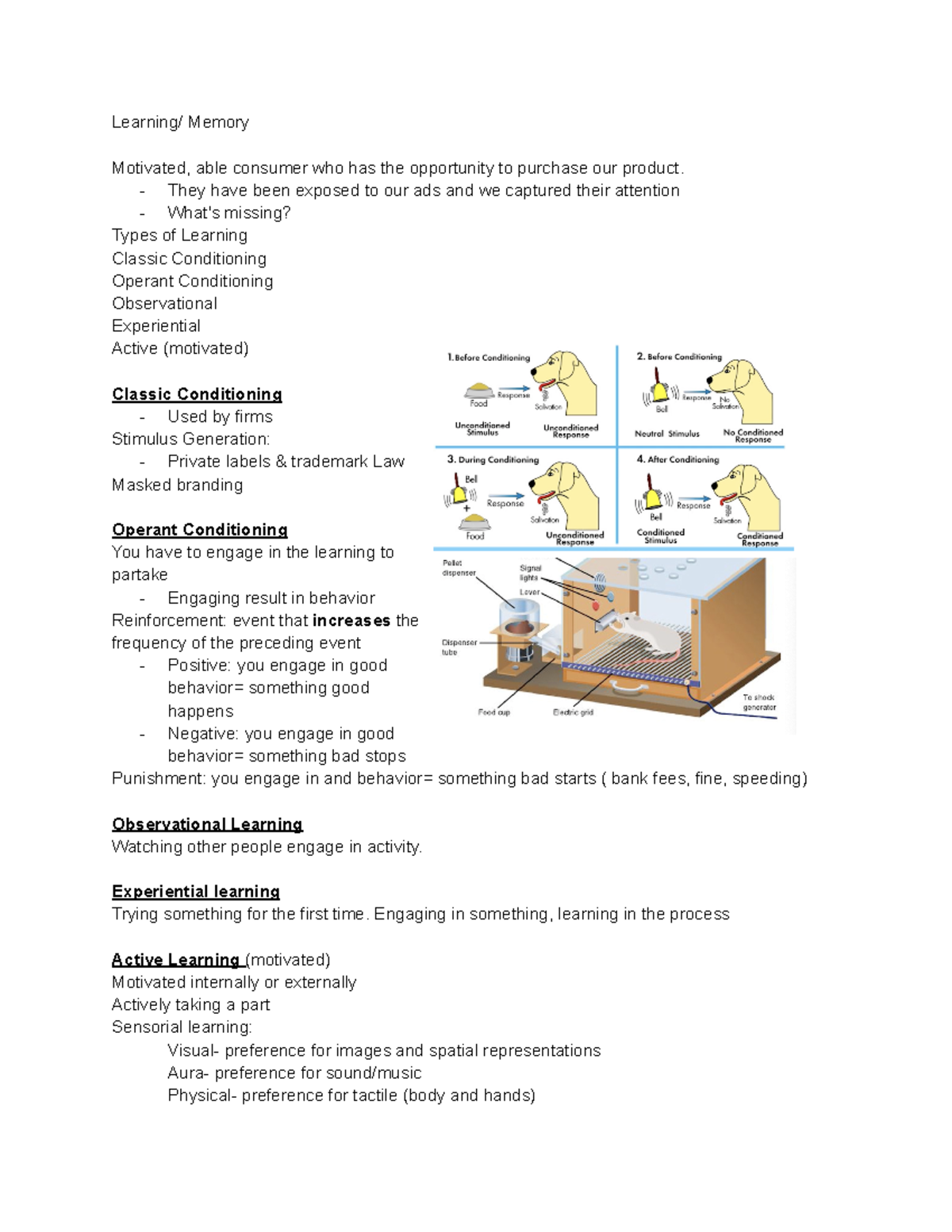 MKT 366- Lecture 3 - Professor Kevin Sample - Learning/ Memory ...