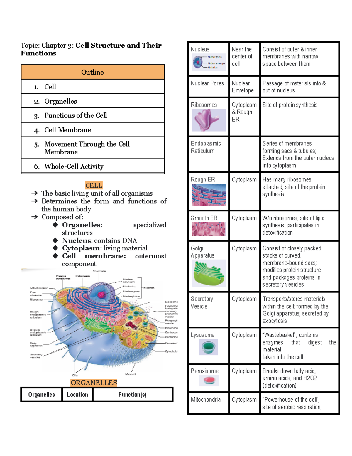 Cell%20Structure%20and%20their%20Functions - Topic: Chapter 3: Cell ...