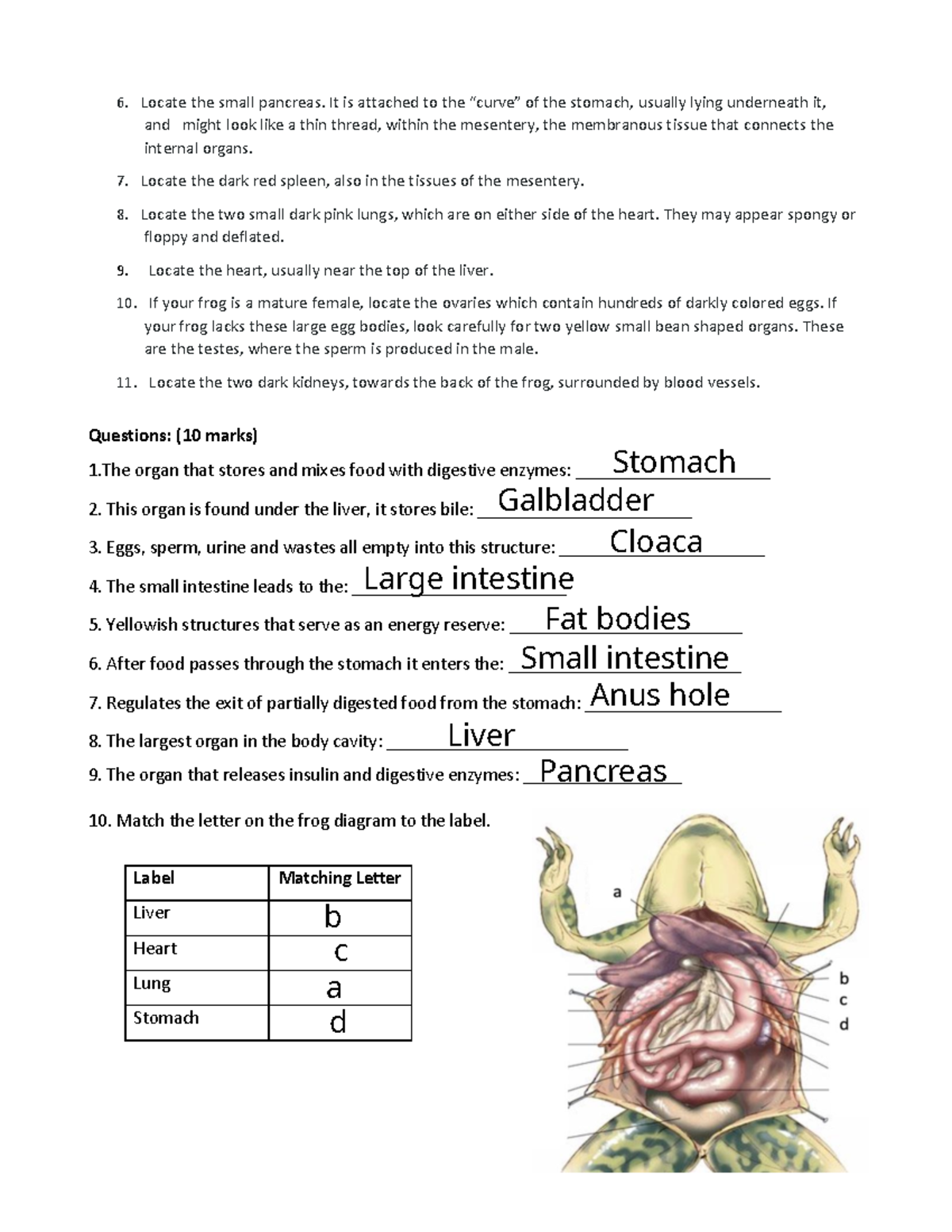3.4 Assignment 2 - Frog Dissection Lab - 6. Locate the small pancreas ...