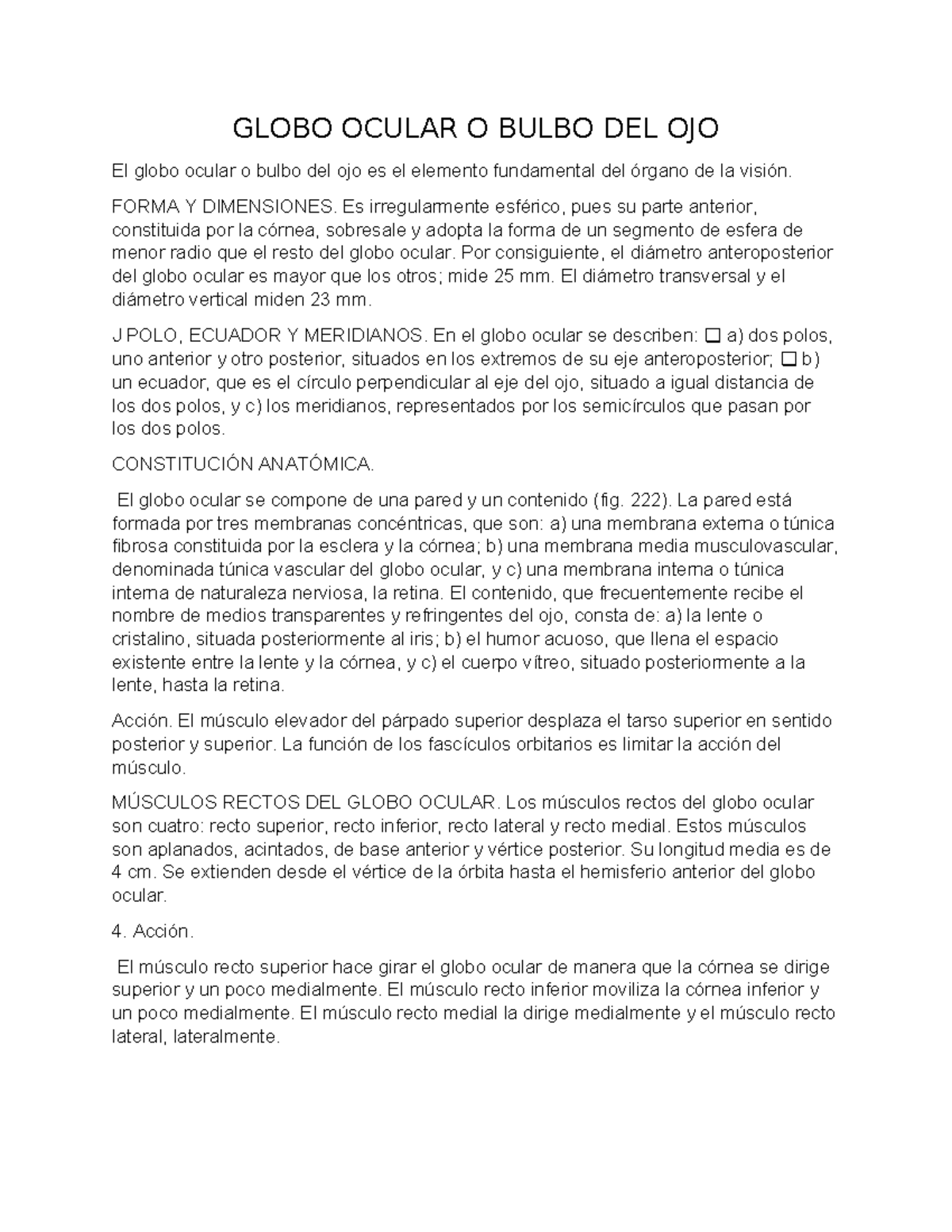 Globo Ocular O Bulbo DEL OJO - GLOBO OCULAR O BULBO DEL OJO El globo ...