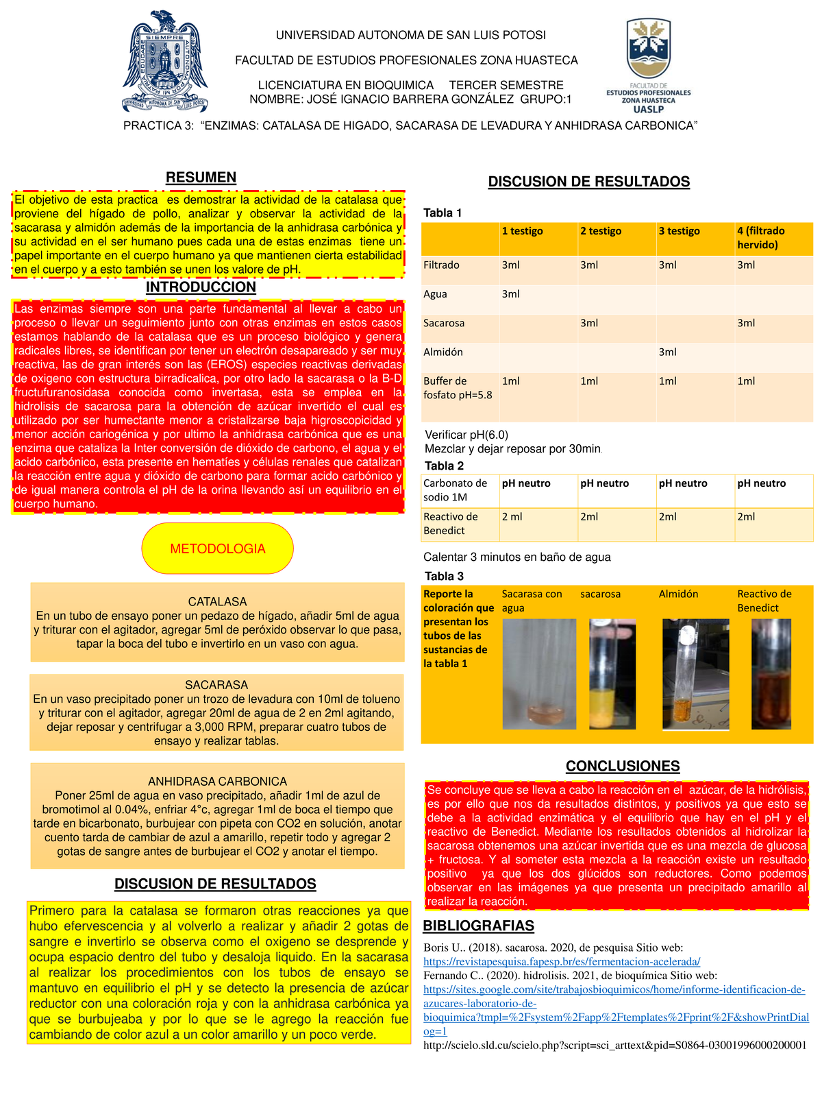 PRÁCTICA 3 ENZIMAS: CATALASA DEL HÍGADO, SACARASA DE LEVADURA Y ...