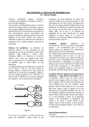 Fisiologia de la lactancia - Universidad Nacional de Salta- Facultad de ...