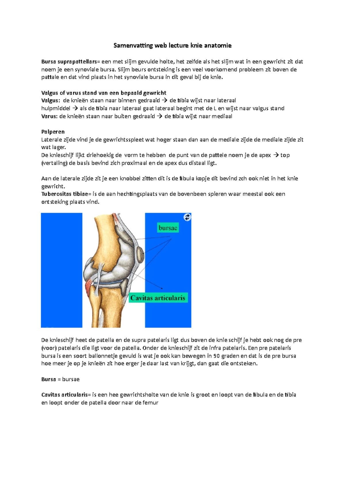 Samenvatting weblecture knie anatomie - Samenvatting web lecture knie ...