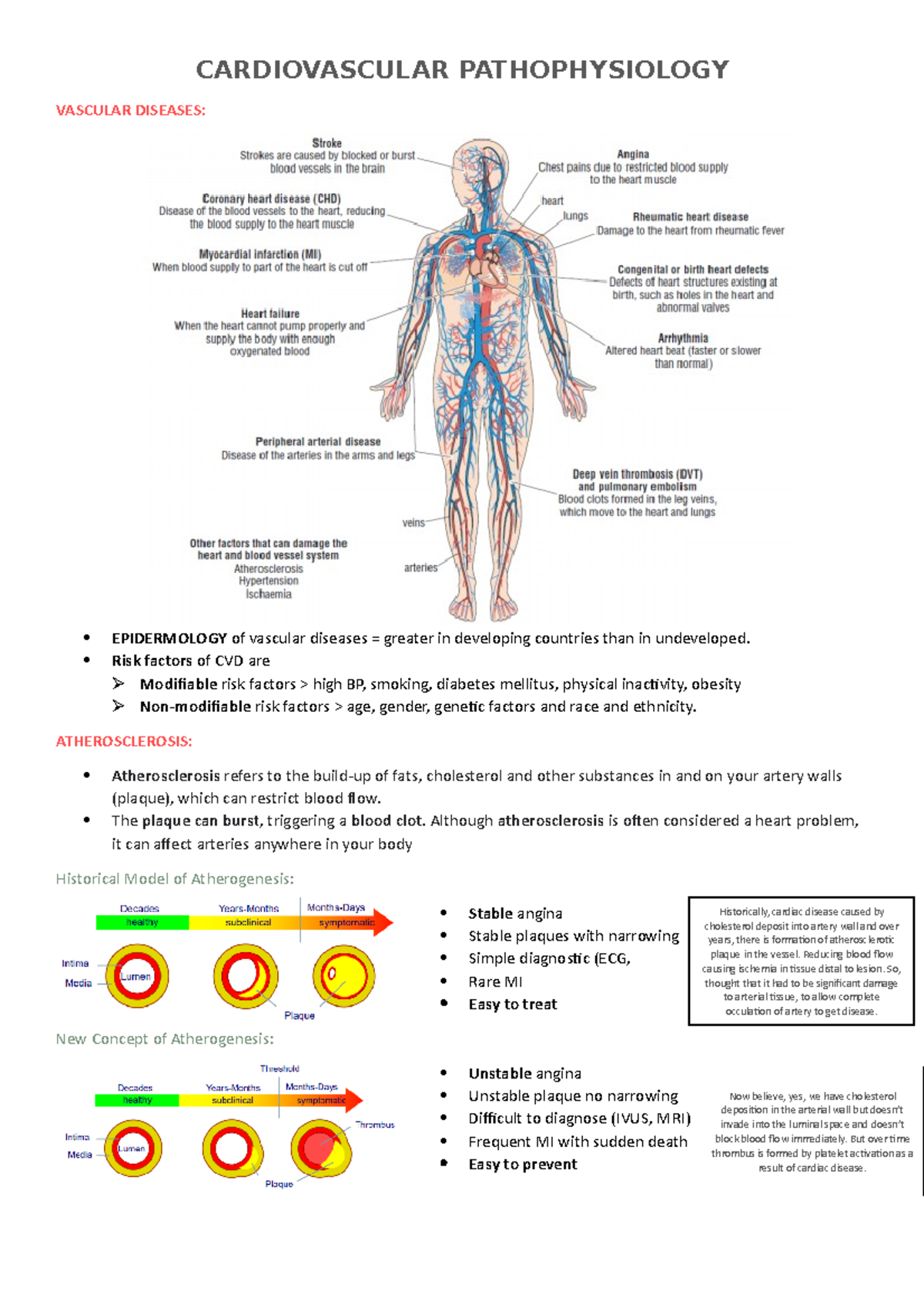 Cardiovascularpathophysiology Notes Stu - CARDIOVASCULAR ...