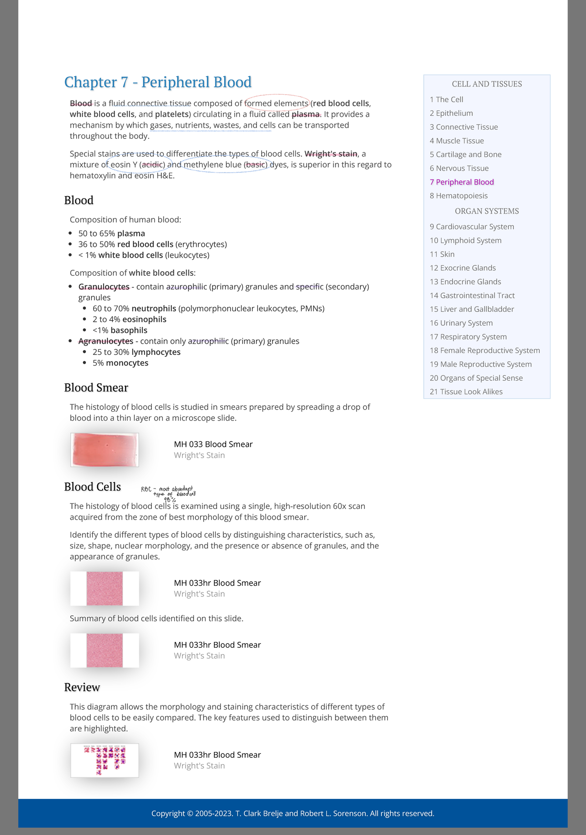 Peripheral Blood Histology Guide - CELL AND TISSUES 1 The Cell 2 ...