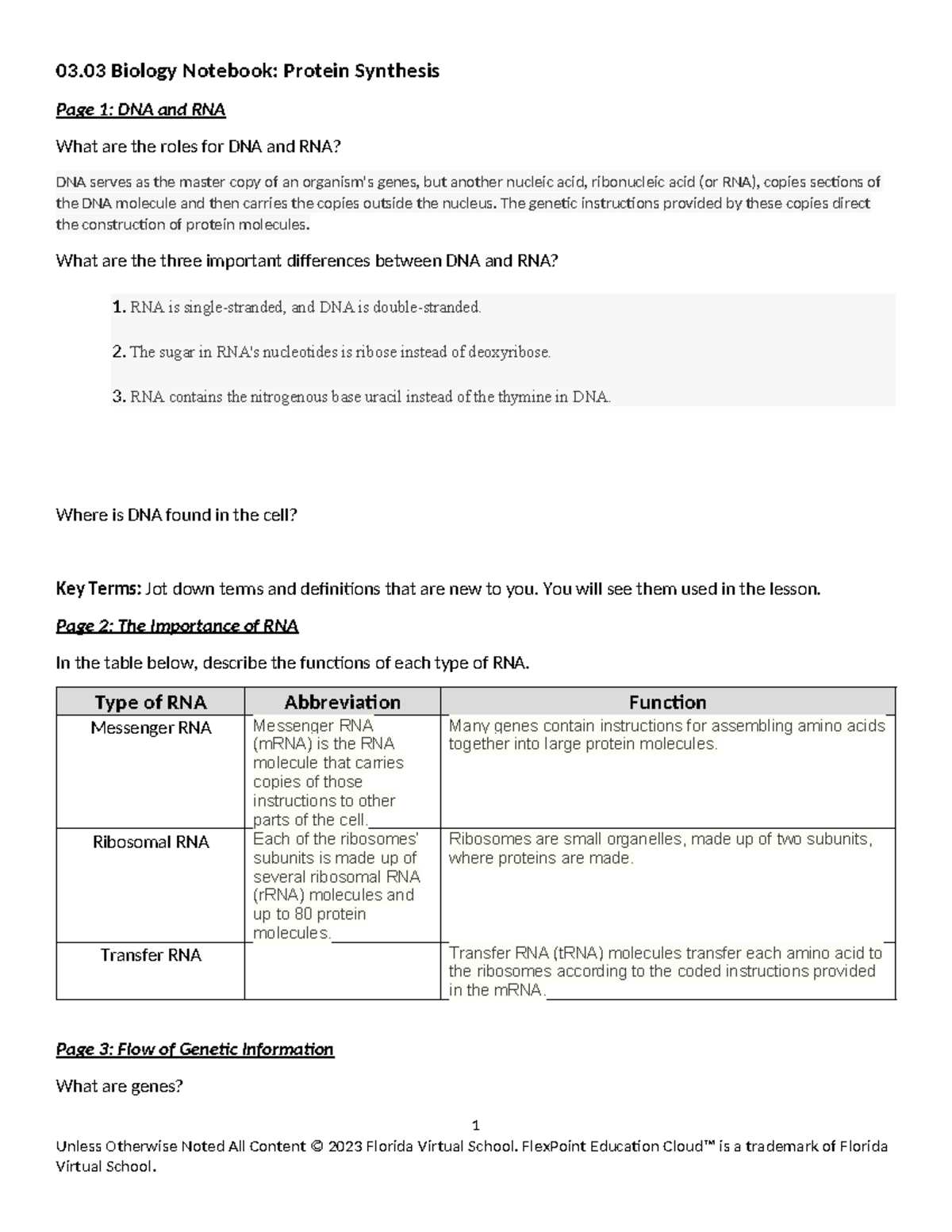 03 03 protein synthesis - 03 Biology Notebook: Protein Synthesis Page 1 ...