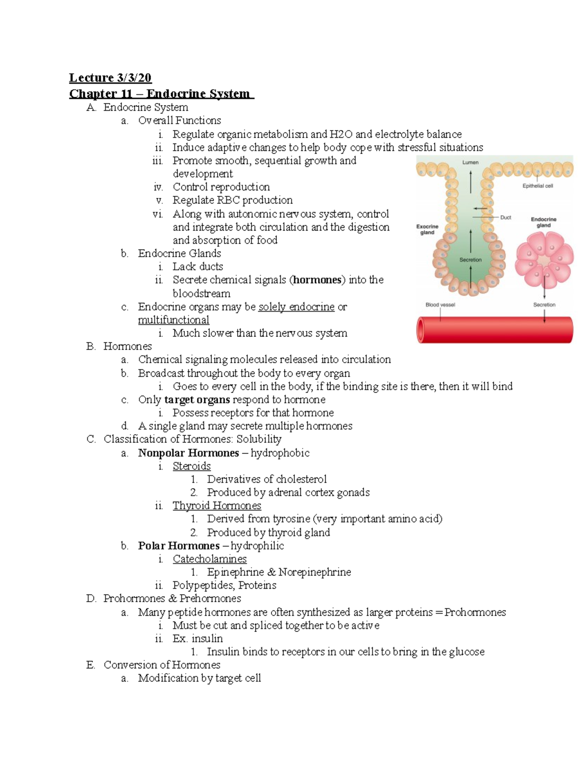 Physiology Unit 2 pt 2 - Lecture notes second part of notes - Lecture 3 ...
