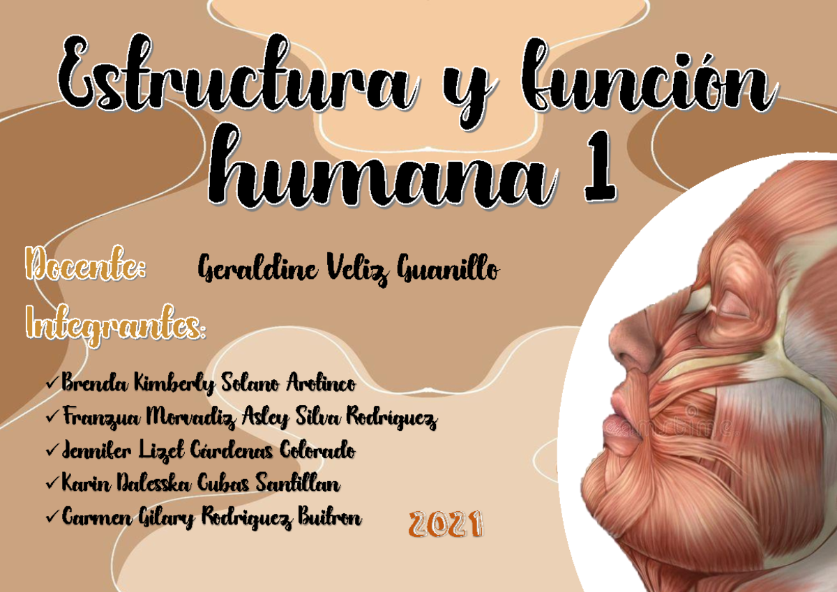 Kimberly Solano's Instagram, Twitter & Facebook on IDCrawl