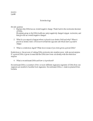 Bacterial Identification Lab Worksheet Student - BioInteractive ...