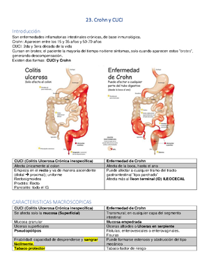 Cirugia - Laparotomía Exploratoria, Lavado peritoneal y Esplenectomía ...