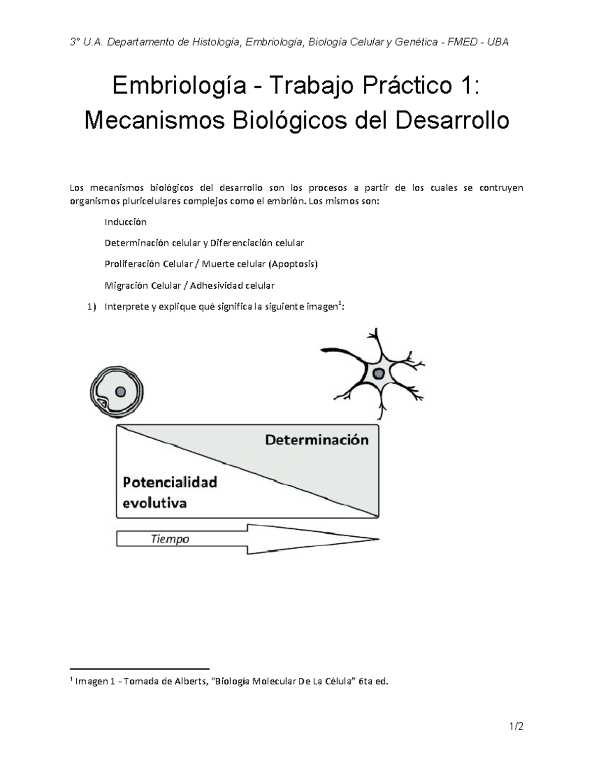 Guia TP1 Embrio - 3° U. Departamento de Histología, Embriología, Biología Celular y Genética ...