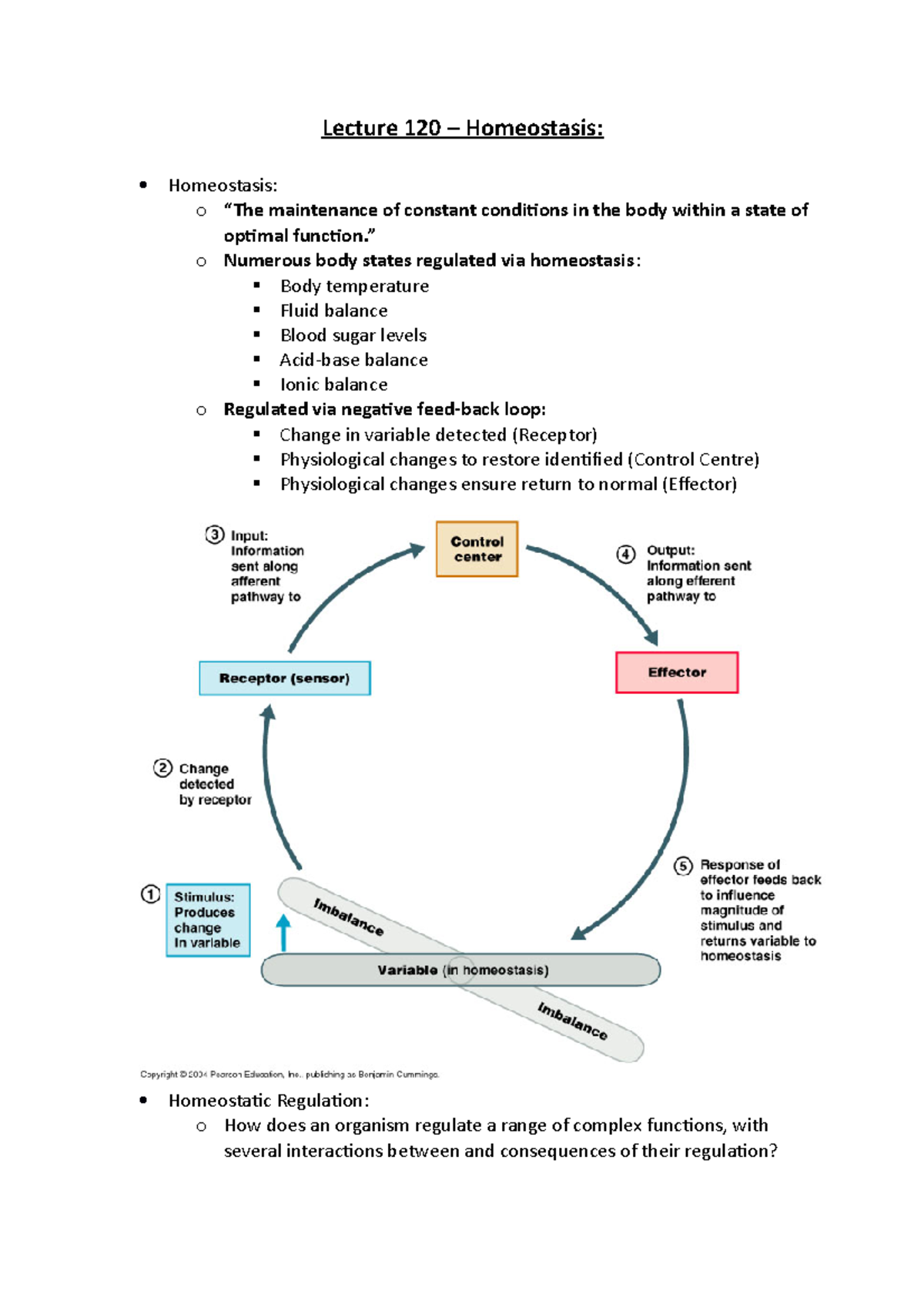 Lecture 120 - Homeostasis - Lecture 120 – Homeostasis: Homeostasis: o ...