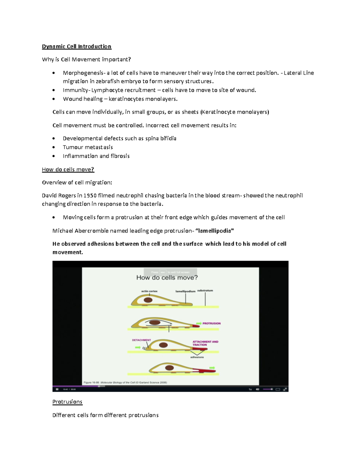 Dynamic Cell Lecture 1 Dynamic Cell Introduction Why Is Cell Movement